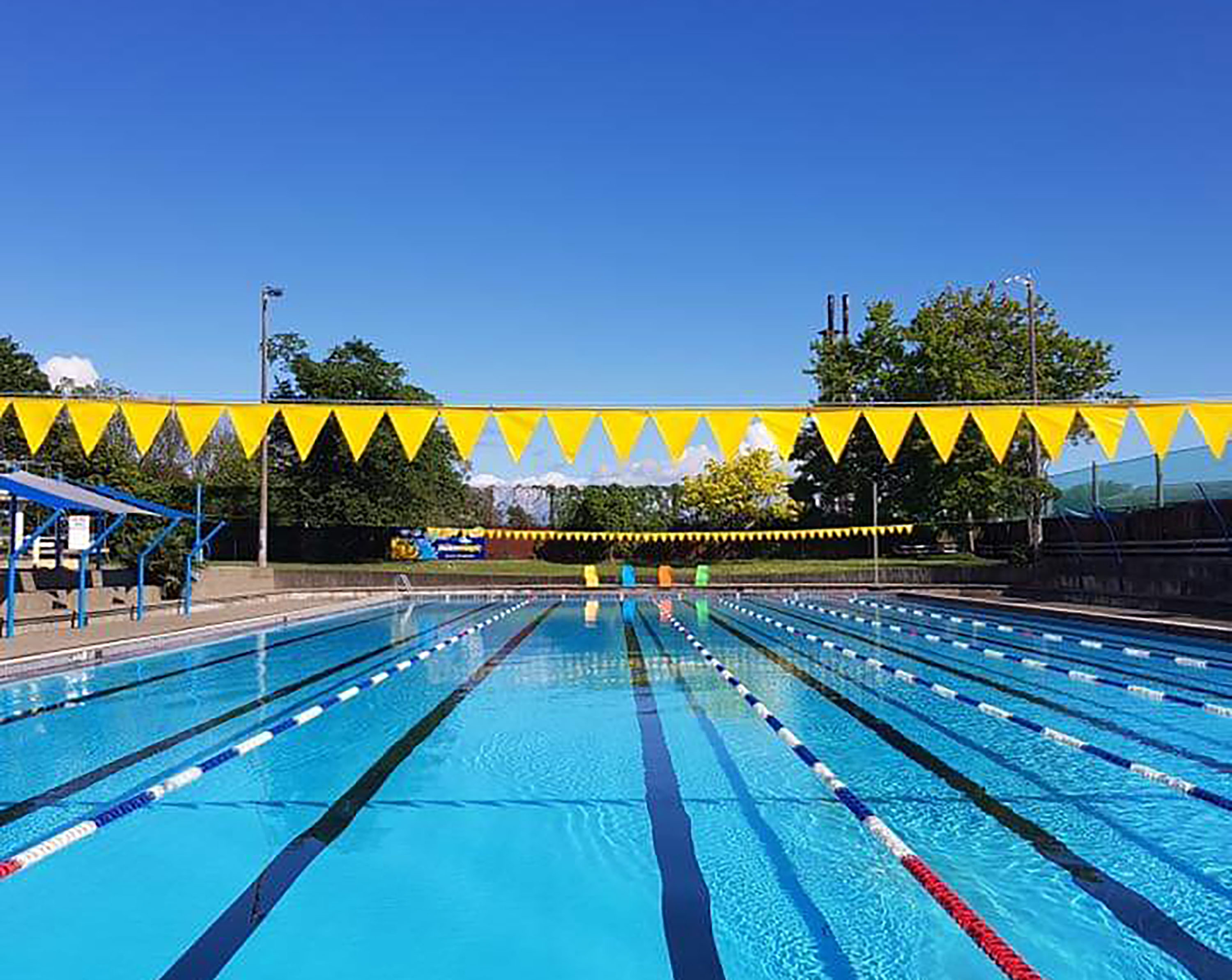 Home | Nayland Park Pool