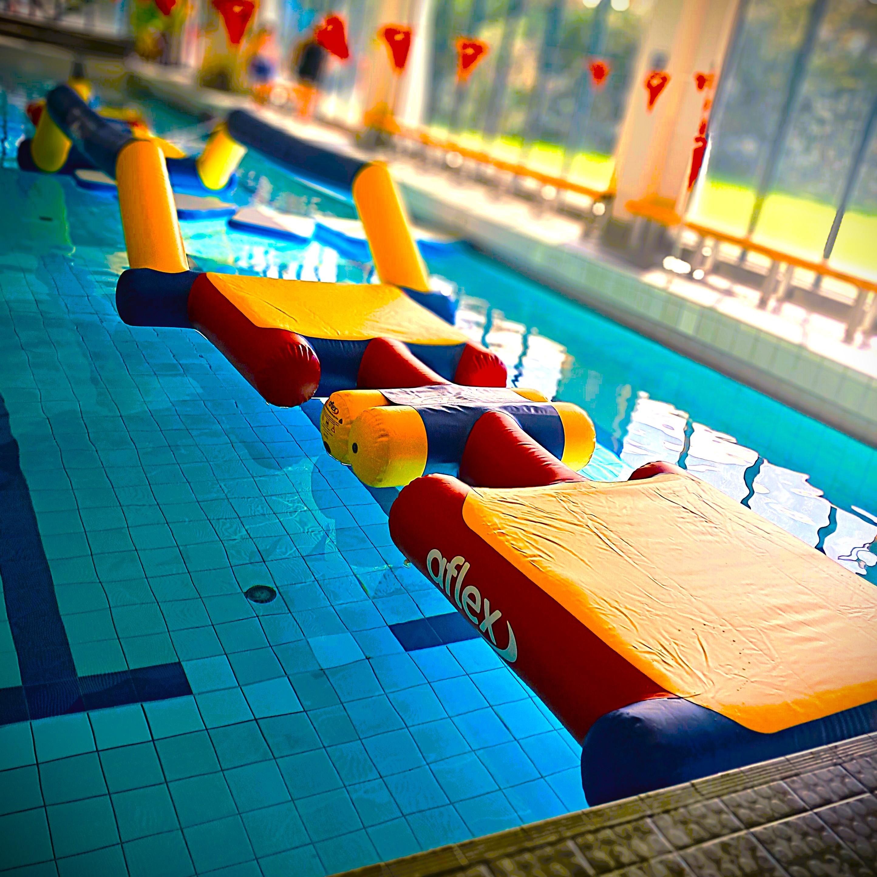 WHAT’S ON THIS SUMMER | Massey Park Pool